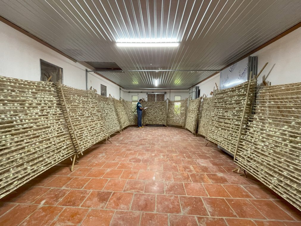 News - Kraig Biocraft Laboratories